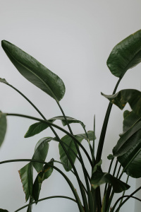 Contact Us - Inner Balance Spa - Calgary Alberta